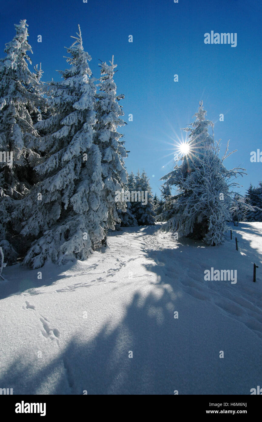 winter sun 4 Stock Photo - Alamy