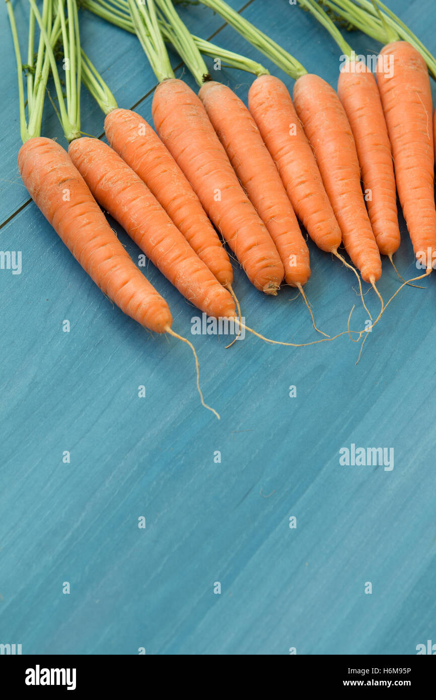 Bunch of fresh carrots with green leaves over blue wooden background ...