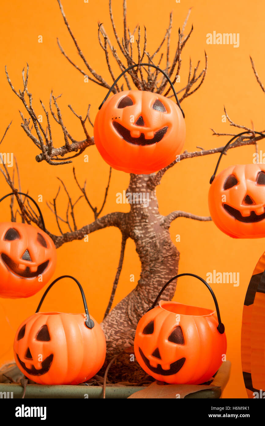 Halloween decoration. Hanging pumpkins on a dry tree Stock Photo - Alamy