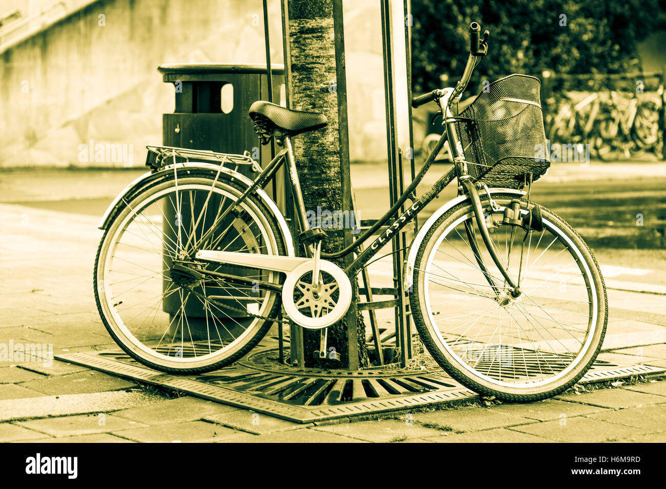 Ladies Push Bike Leaning Against a Tree Stock Photo - Alamy