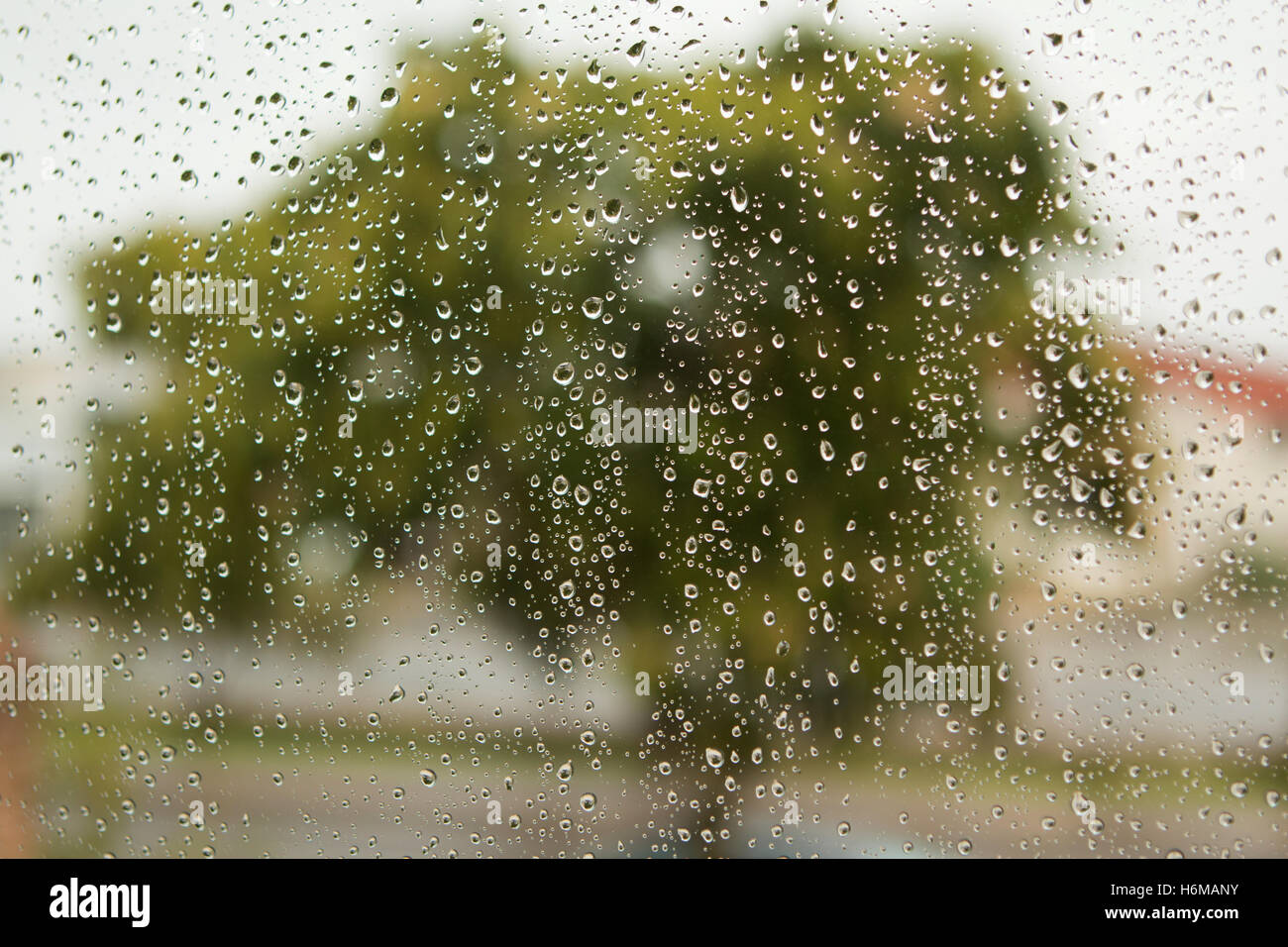 Glass with drops of rain water close up Stock Photo - Alamy