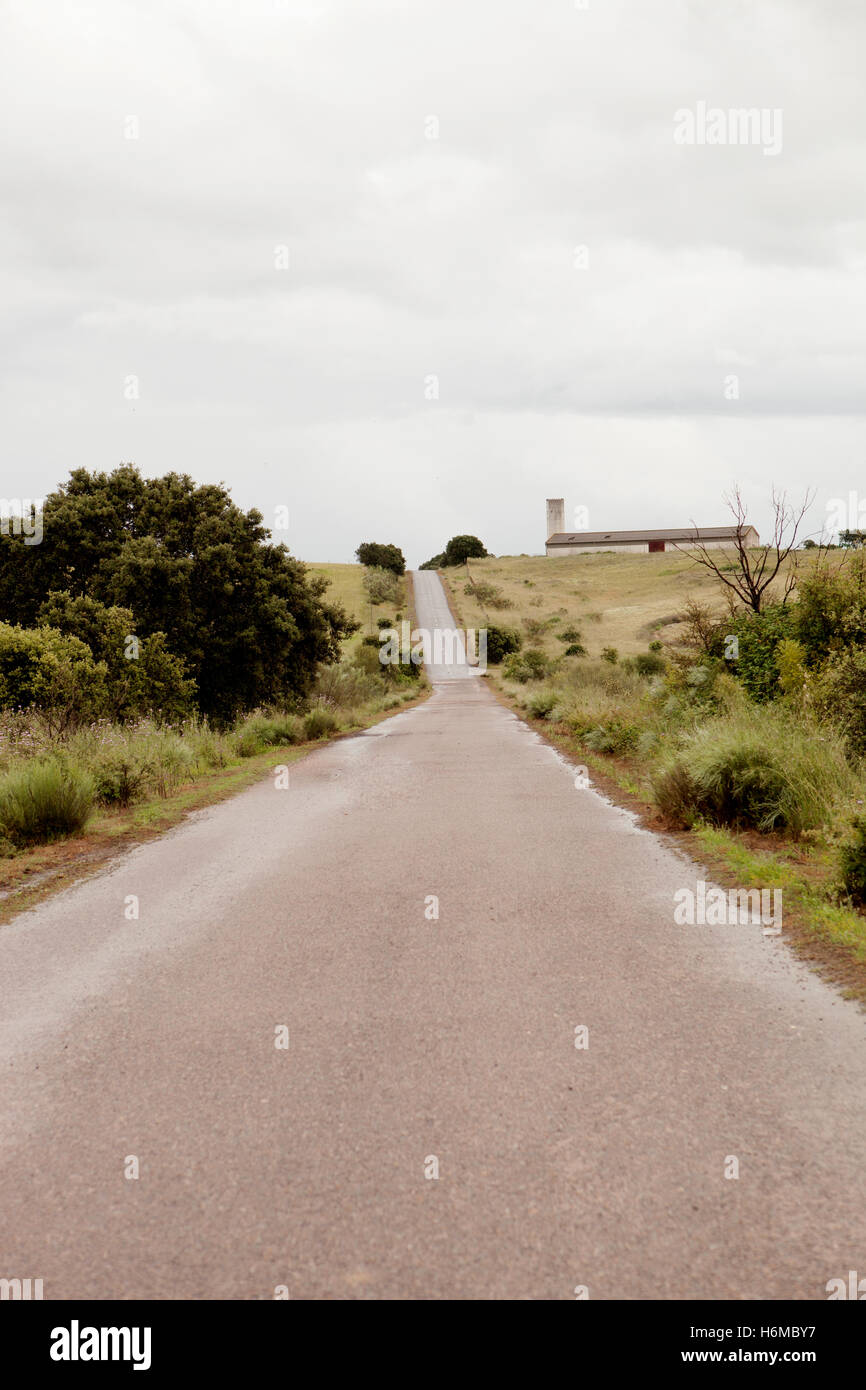 Narrow paved road in the countryside Stock Photo - Alamy