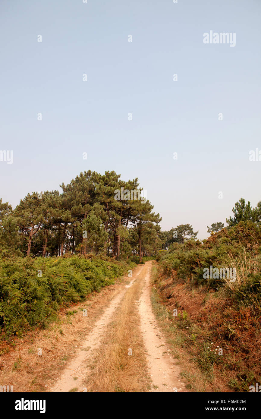 Nice trail in the middle of nature in northern Spain Stock Photo - Alamy
