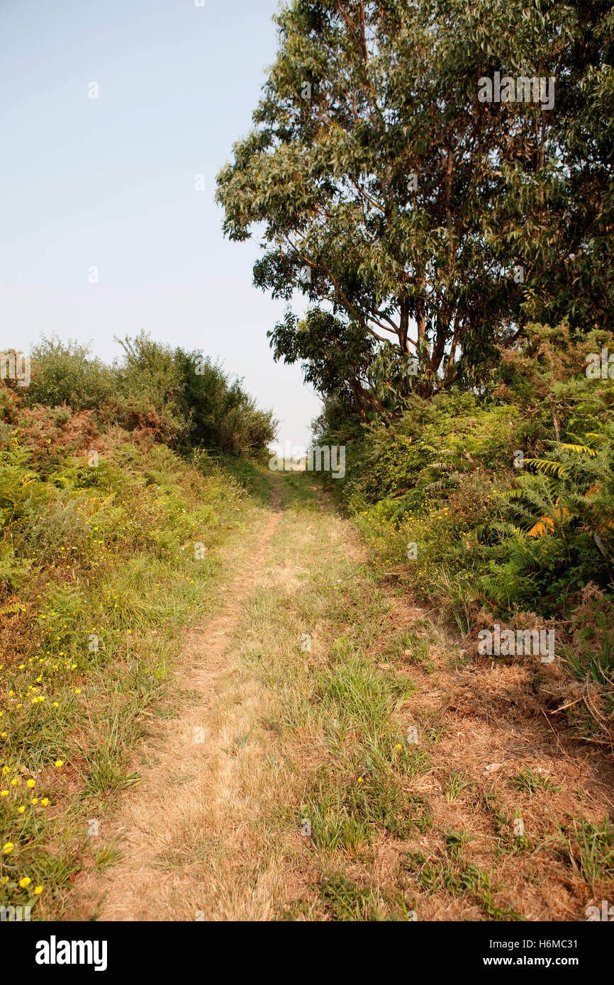 Nice trail hi-res stock photography and images - Alamy