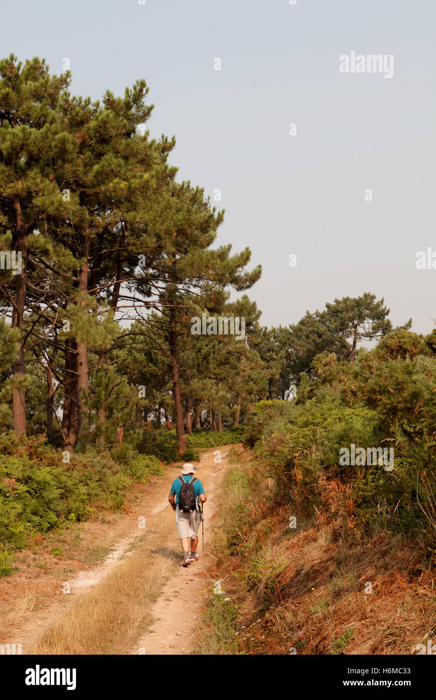 Nice trail hi-res stock photography and images - Alamy