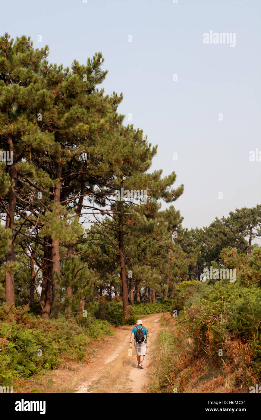 Nice trail hi-res stock photography and images - Alamy