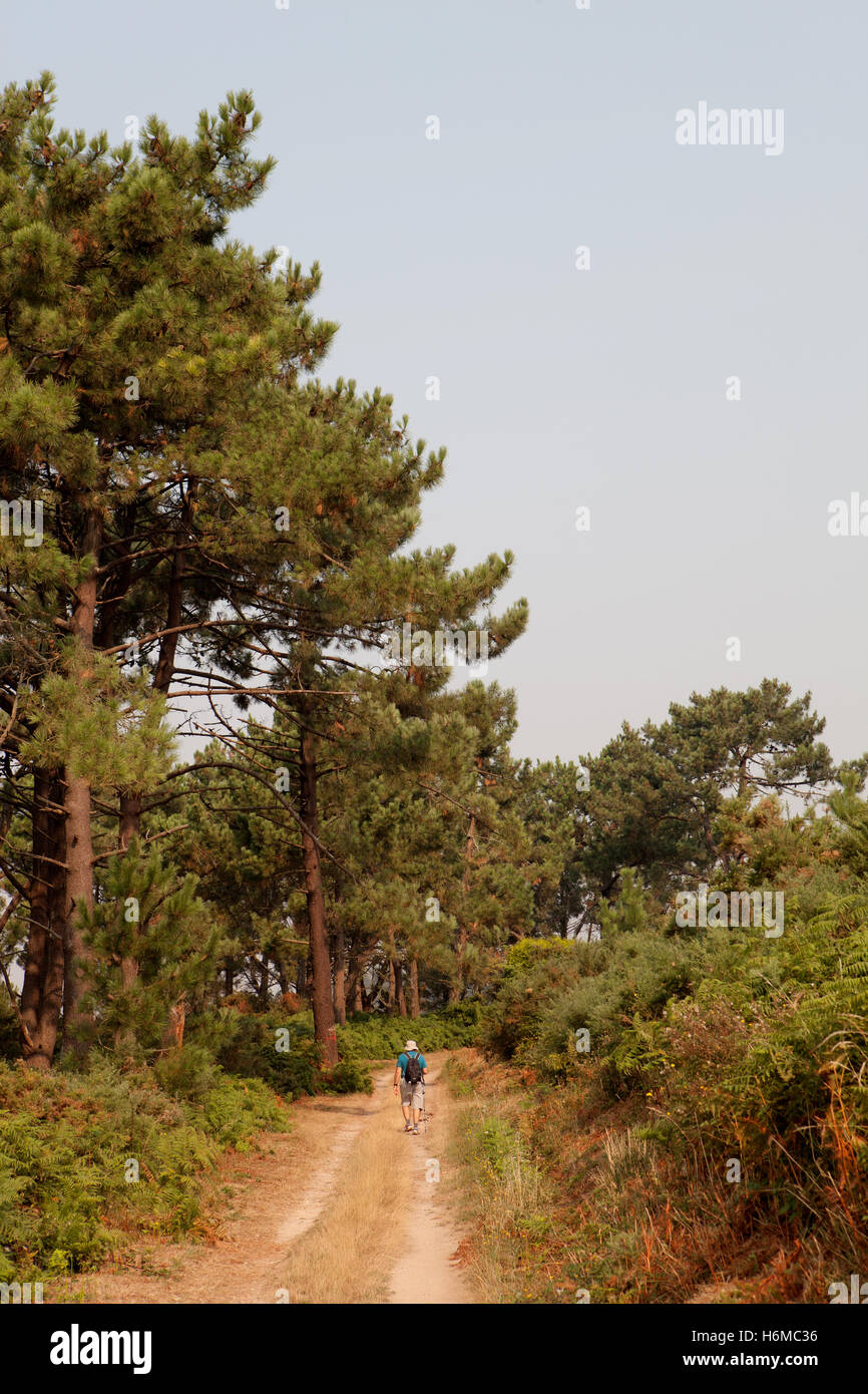 Nice trail hi-res stock photography and images - Alamy