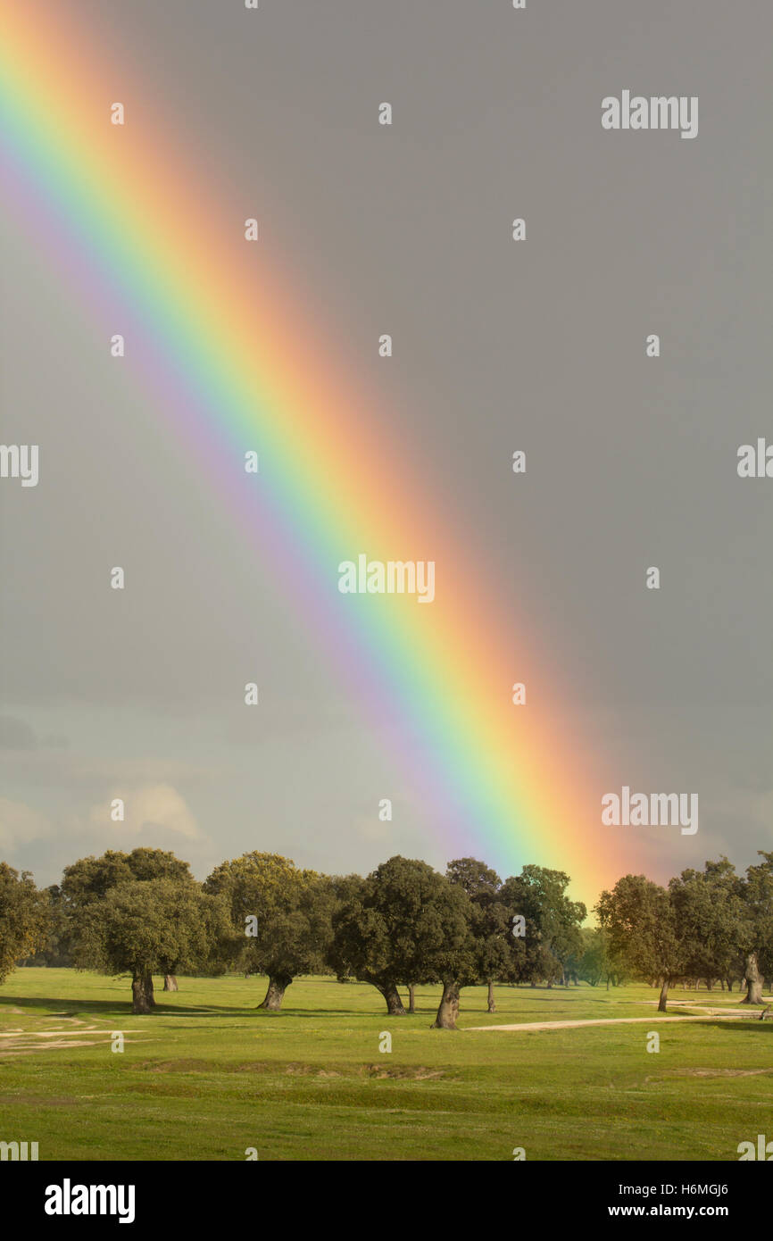Landscape with a beautiful rainbow in the sky Stock Photo - Alamy