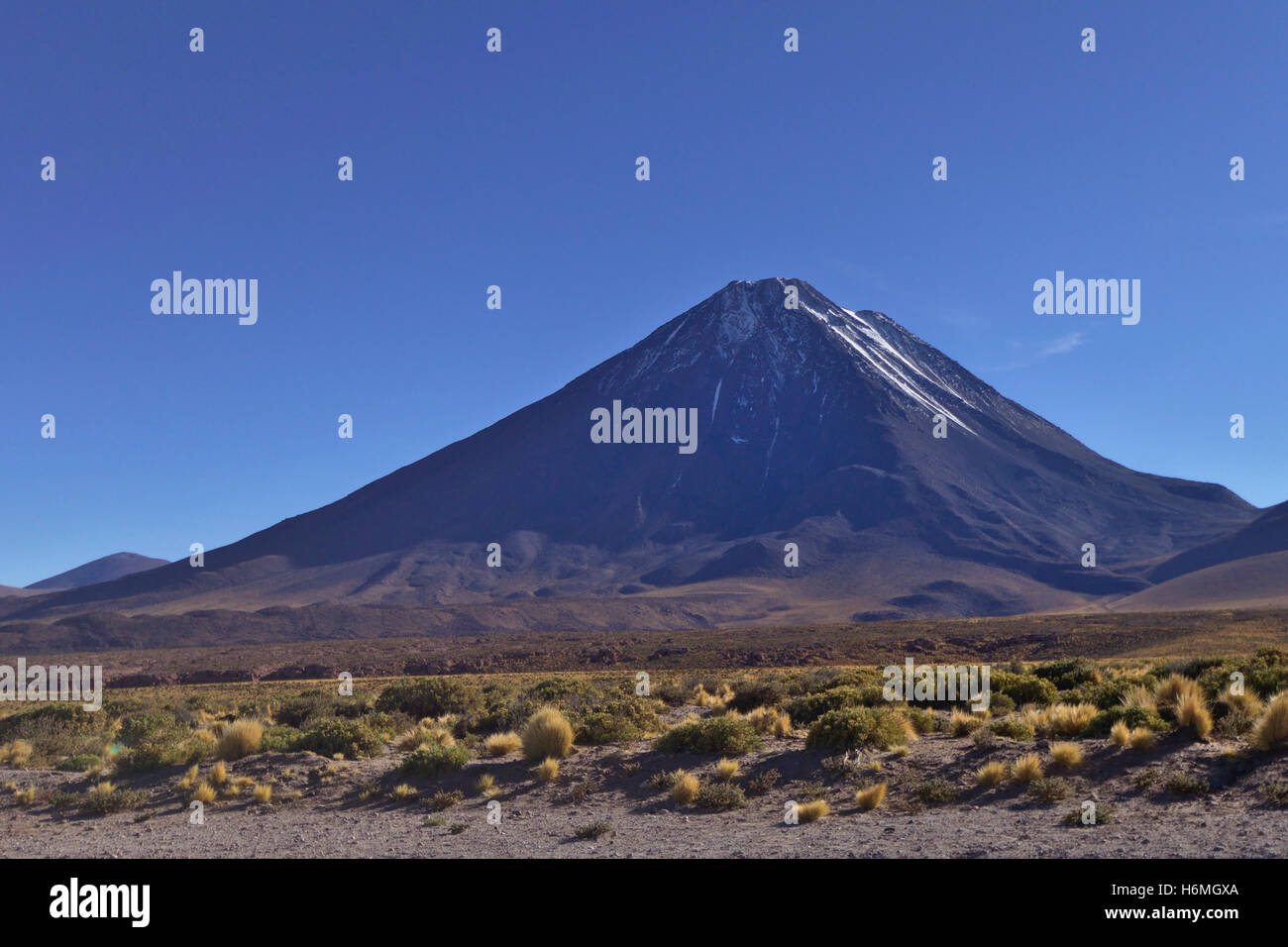 Highly symmetric conic shaped volcano with plenty of vegetation in its ...