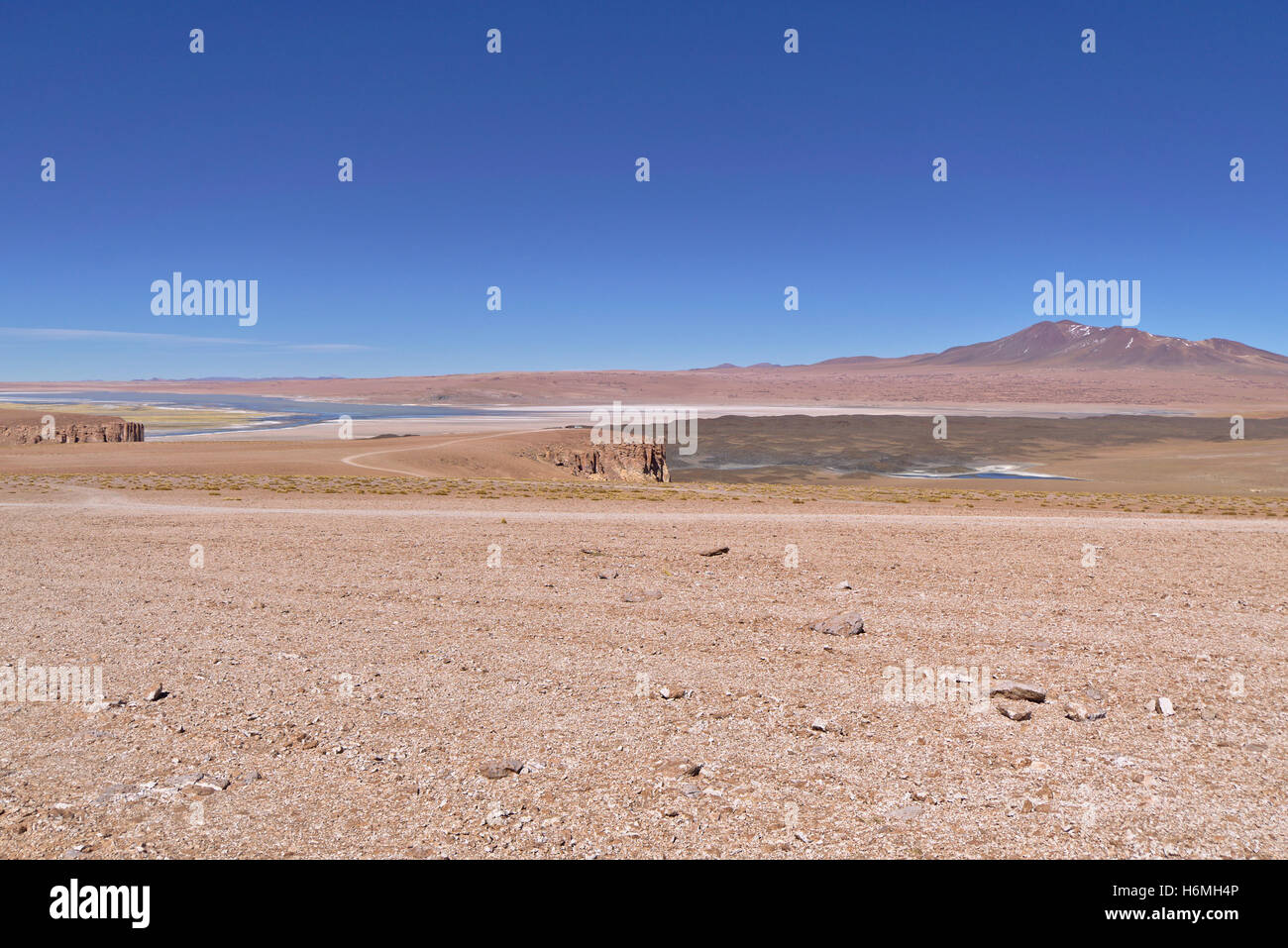 Salar de Tara seen from a higher distant viewpoint Stock Photo - Alamy