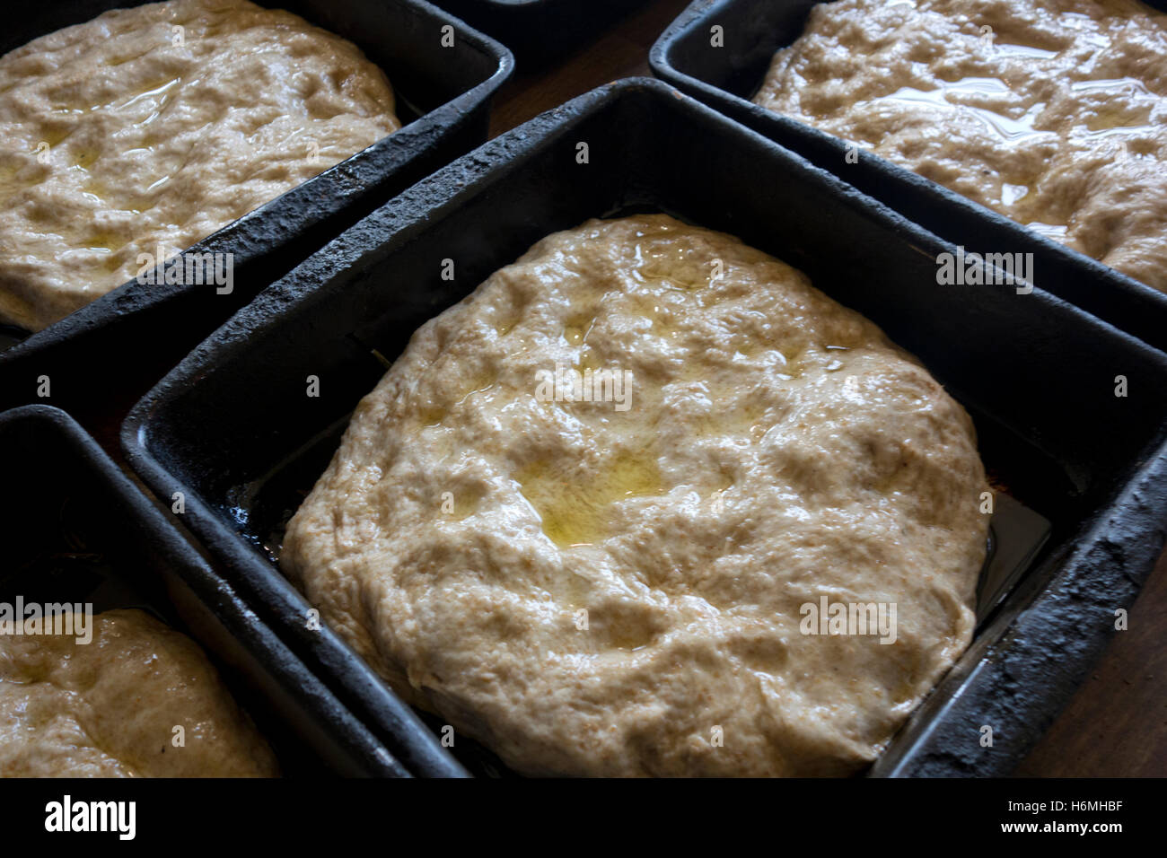 bread rising Brooklyn NYC Stock Photo - Alamy