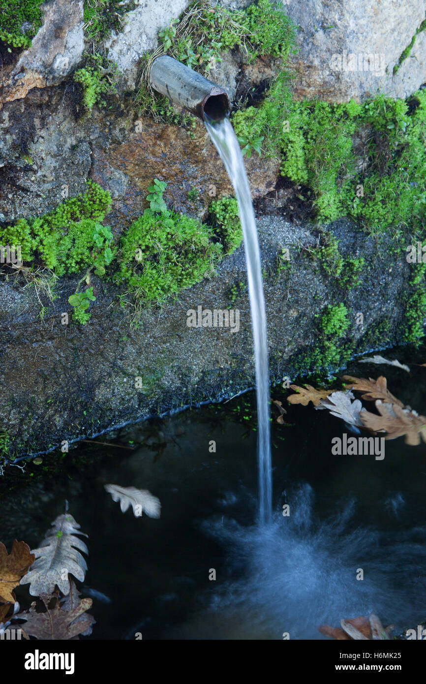 Pipe clean water pouring from a natural source Stock Photo - Alamy