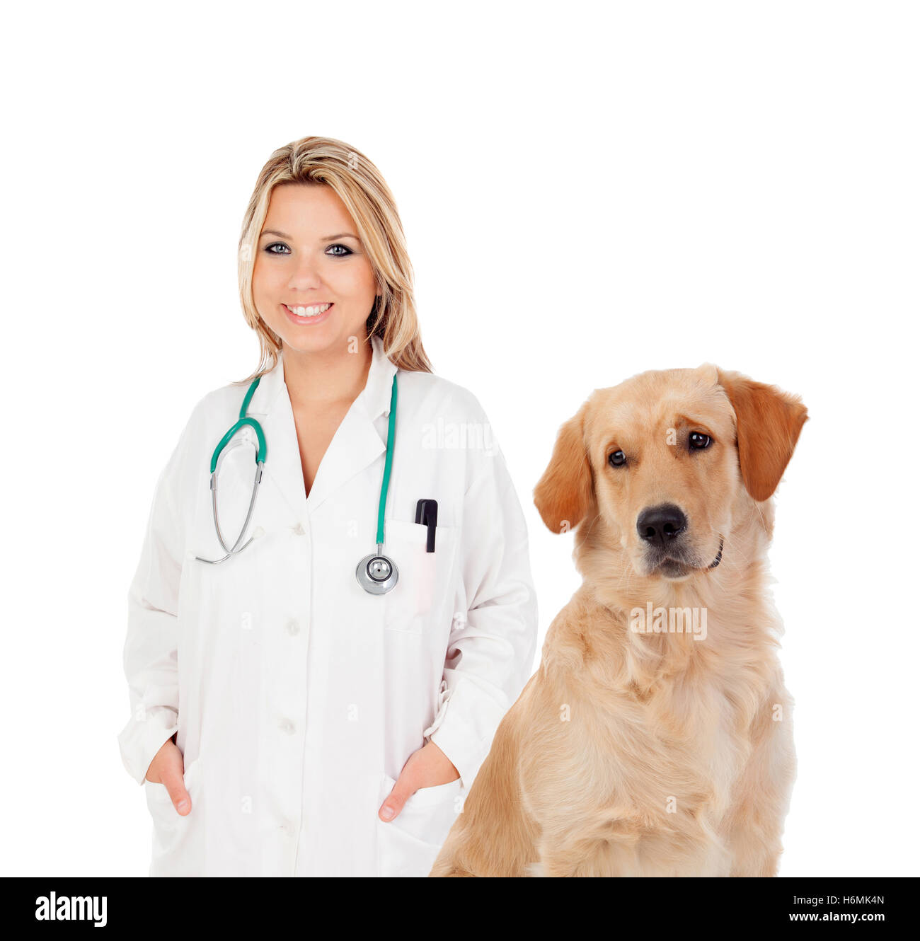 Blonde veterinary with a nice Labrador Retriever isolated on a white ...