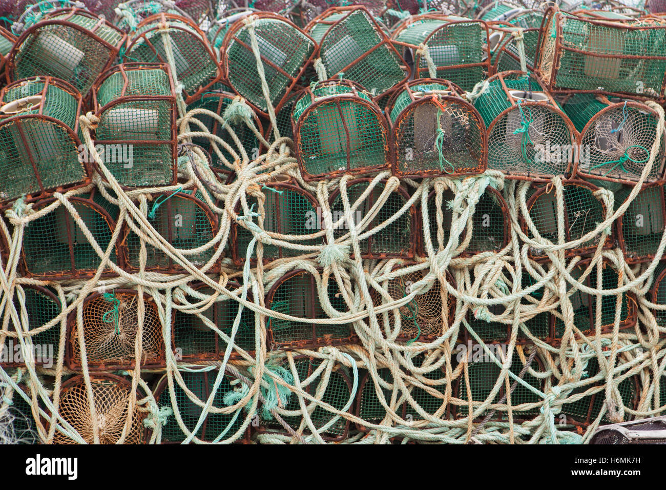 Octopus Trap Octopus Traps High Resolution Stock Photography and Images ...