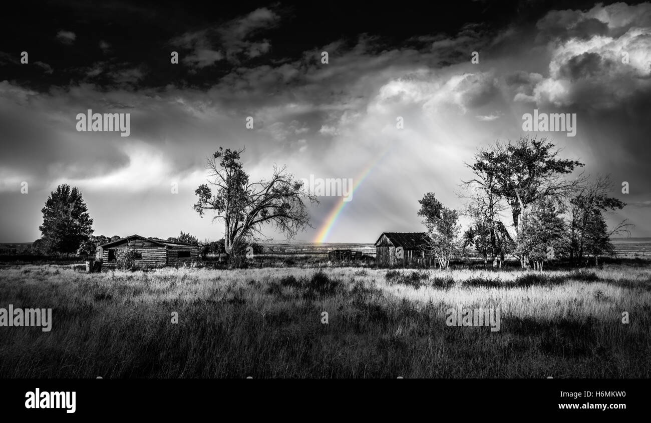 Black and white rainbow hi-res stock photography and images - Alamy
