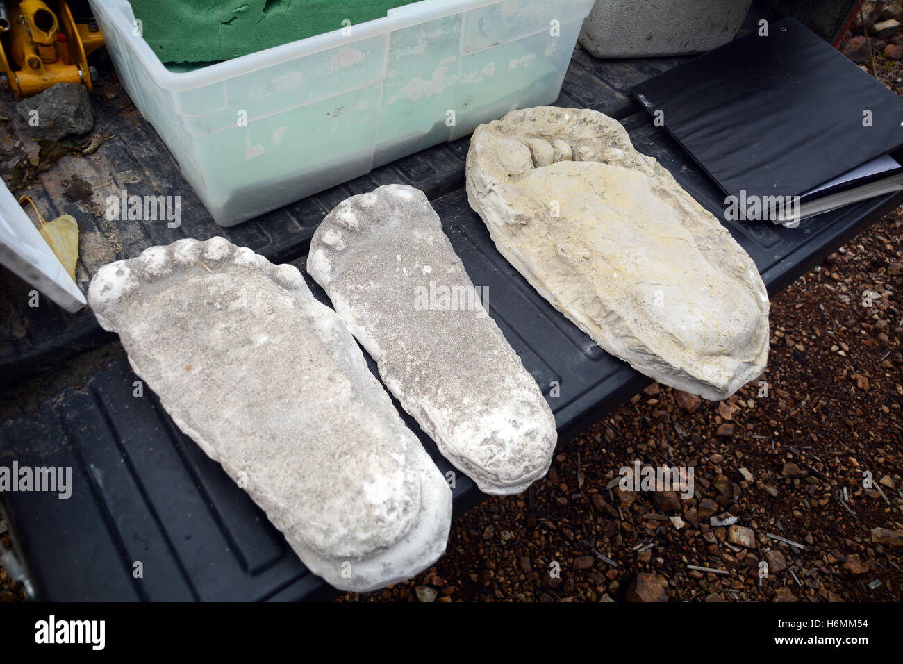 Sasquatch hi-res stock photography and images - Alamy
