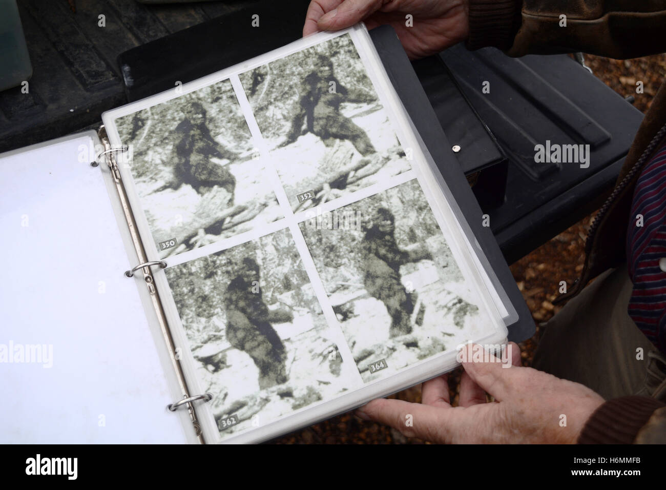 Bigfoot sasquatch bob gimlin hi-res stock photography and images - Alamy