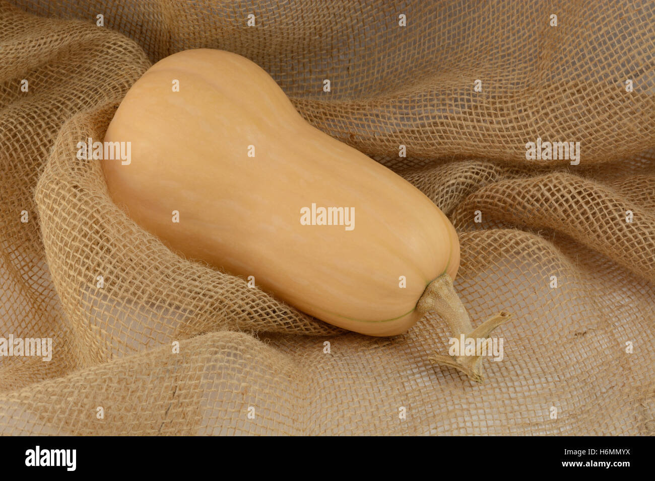 Raw butternut whole squash on burlap Stock Photo - Alamy