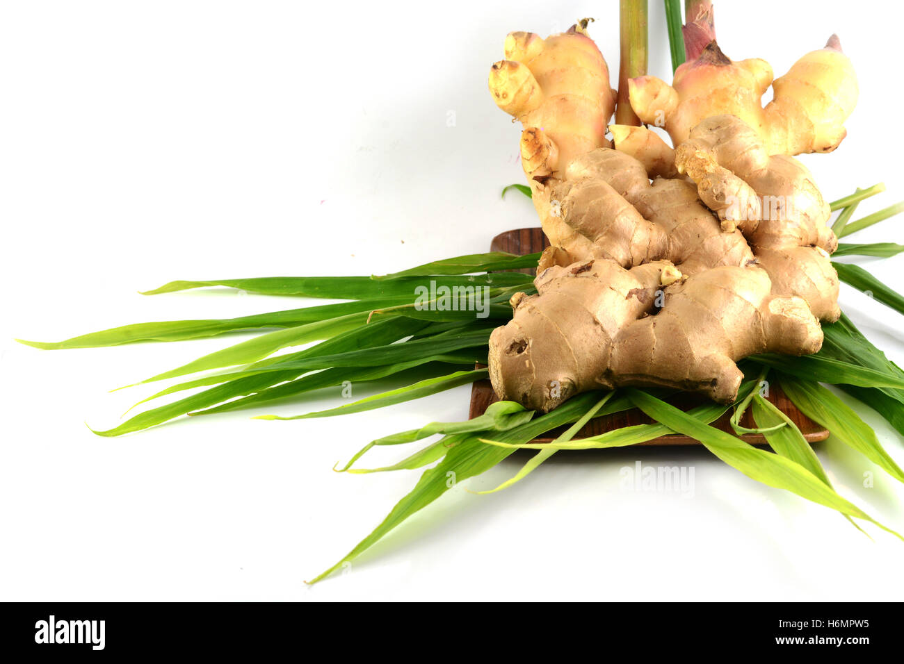 fresh ginger isolated Stock Photo - Alamy
