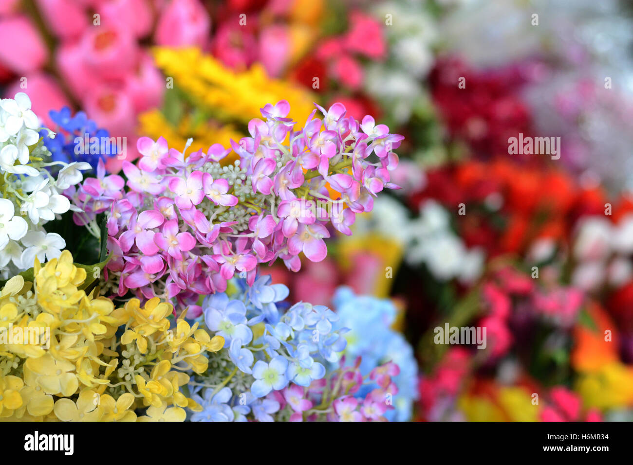 beautiful colors of plastic flowers Stock Photo - Alamy