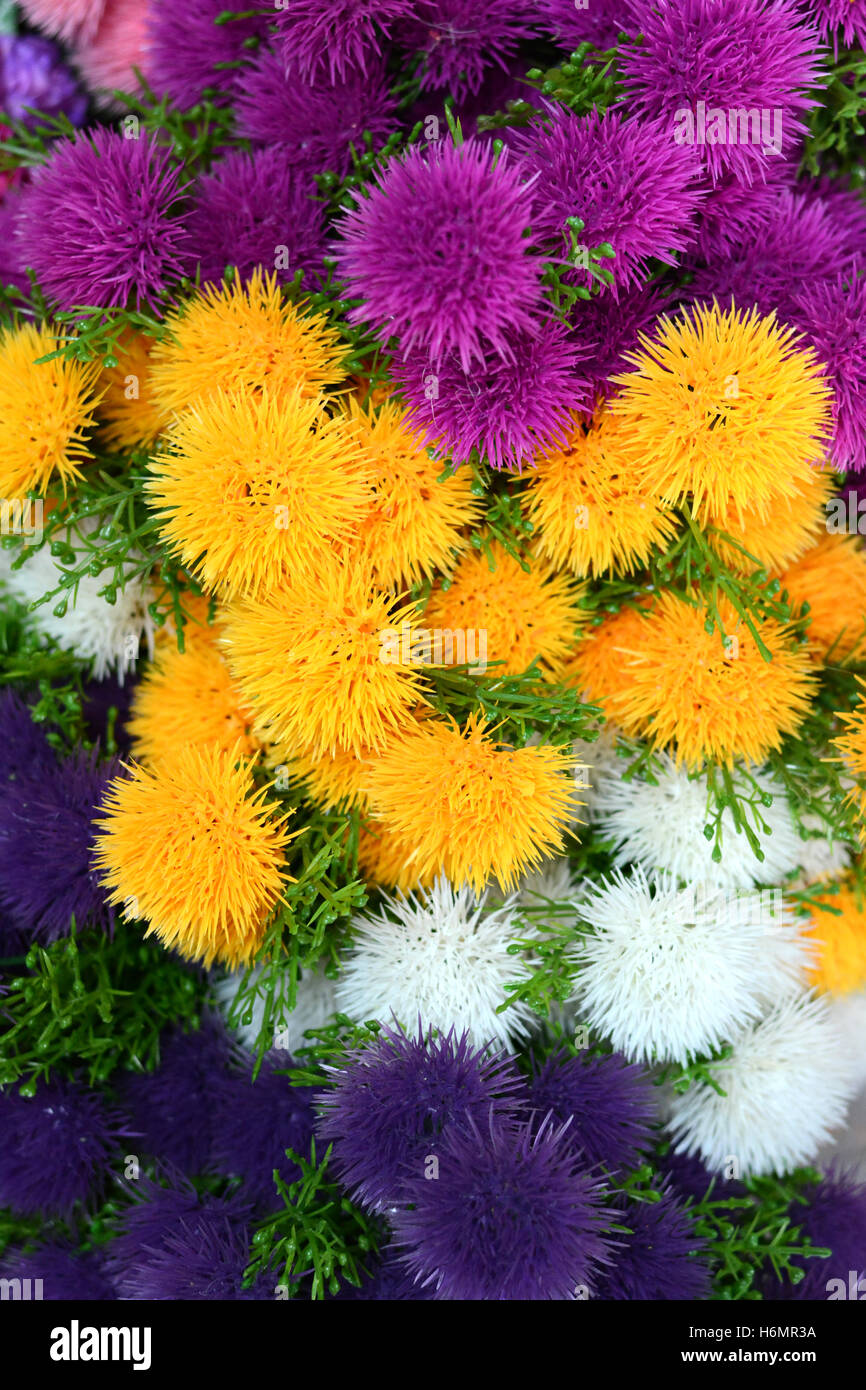 beautiful colors of plastic flowers Stock Photo - Alamy