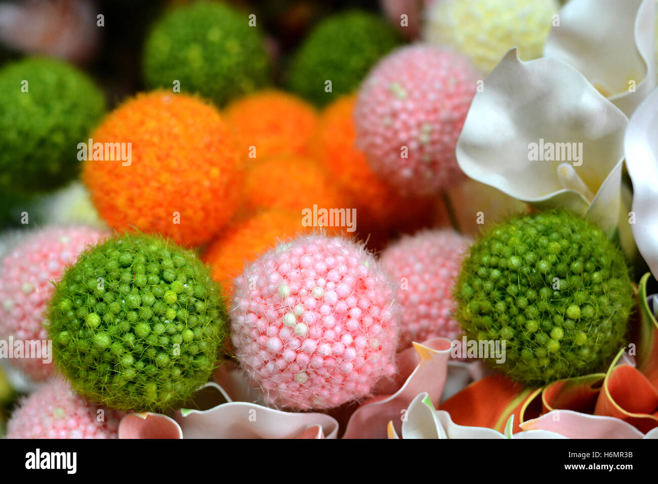 beautiful colors of plastic flowers Stock Photo - Alamy