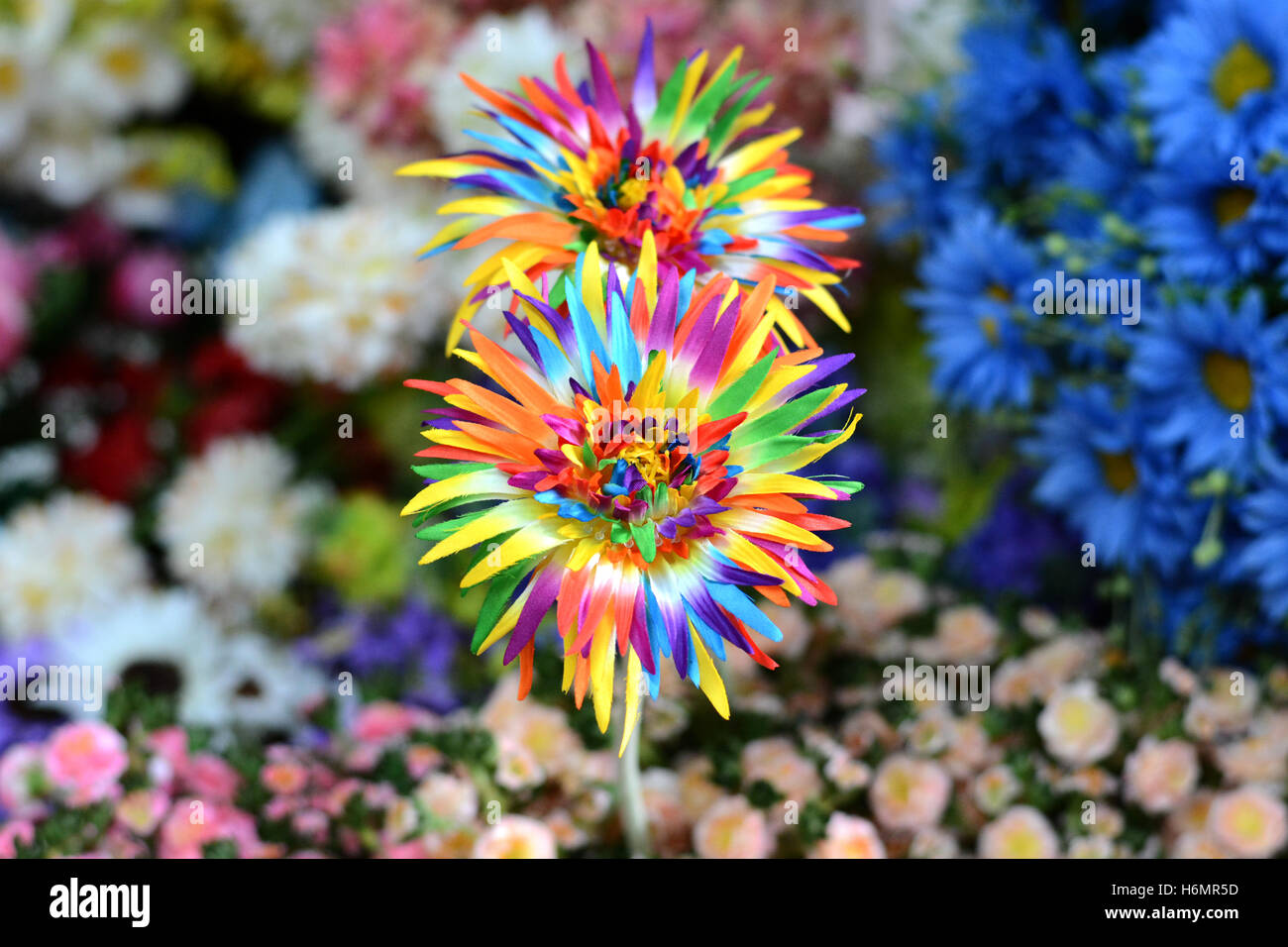 beautiful colors of plastic flowers Stock Photo - Alamy
