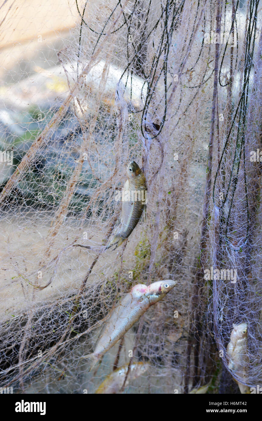 Mesh fish traps Stock Photo - Alamy