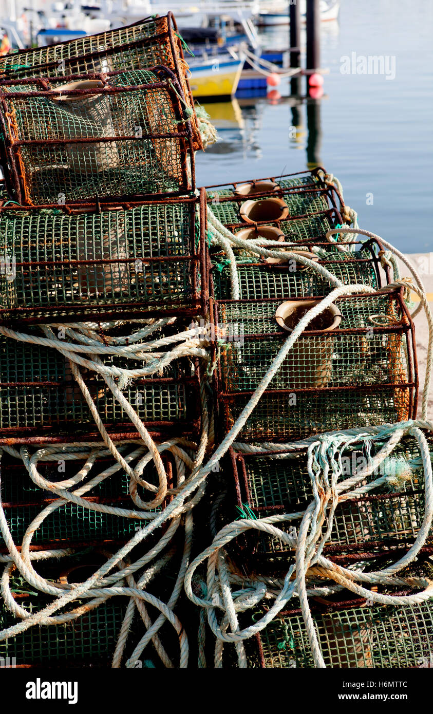 Octopus Trap Stock Photos & Octopus Trap Stock Images - Alamy