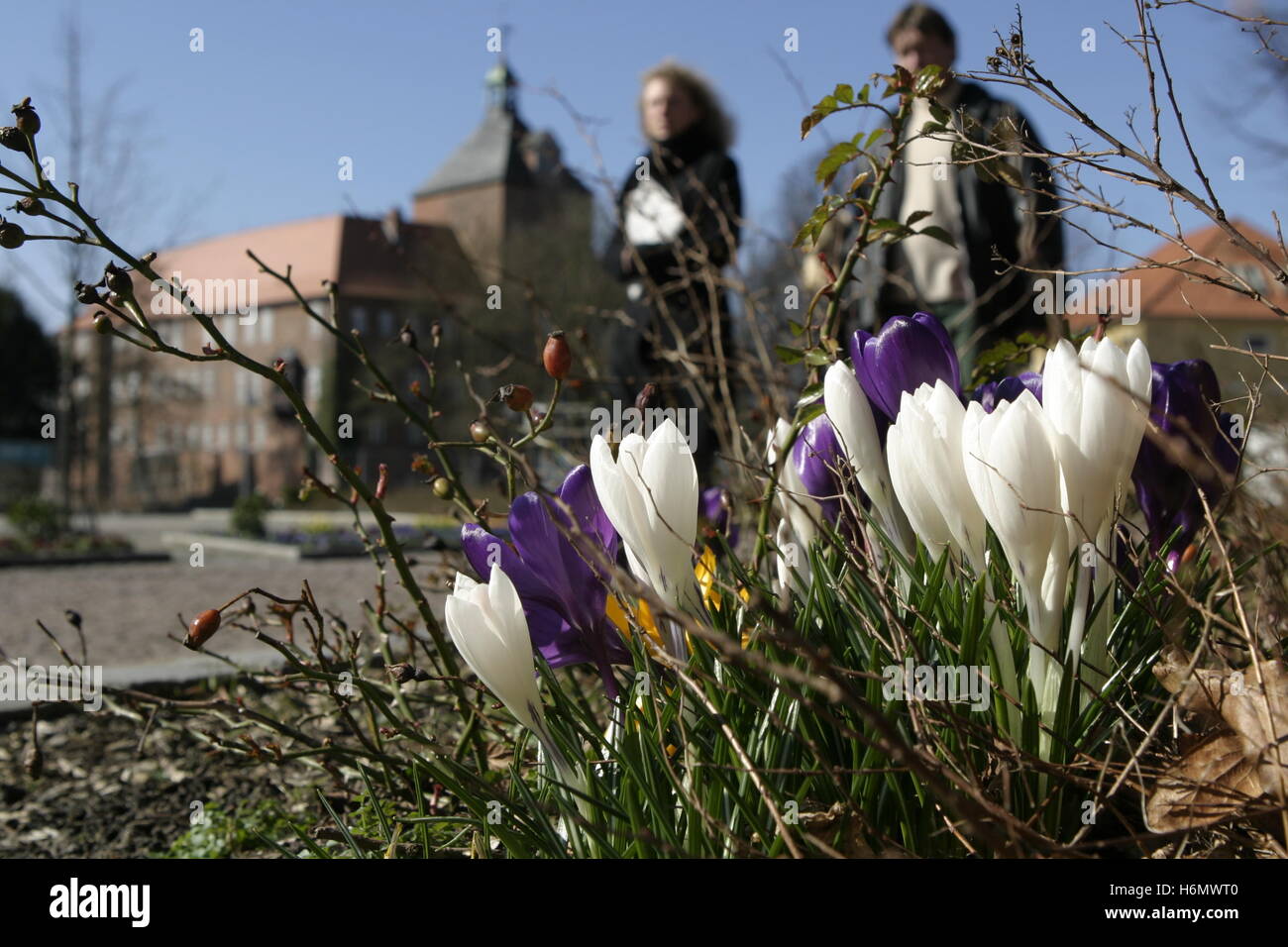 Spring awakening hi-res stock photography and images - Alamy