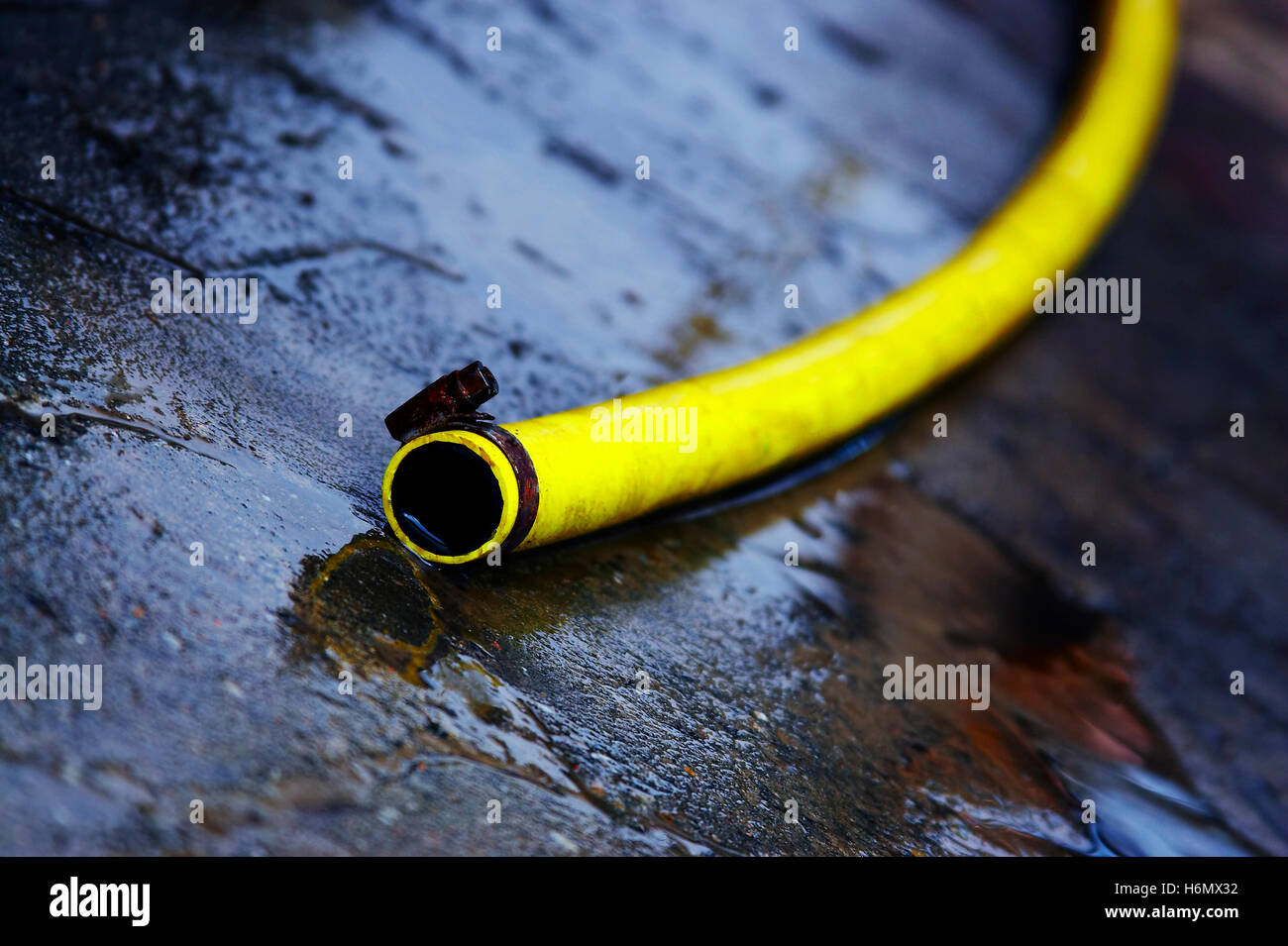yellow water hose Stock Photo - Alamy