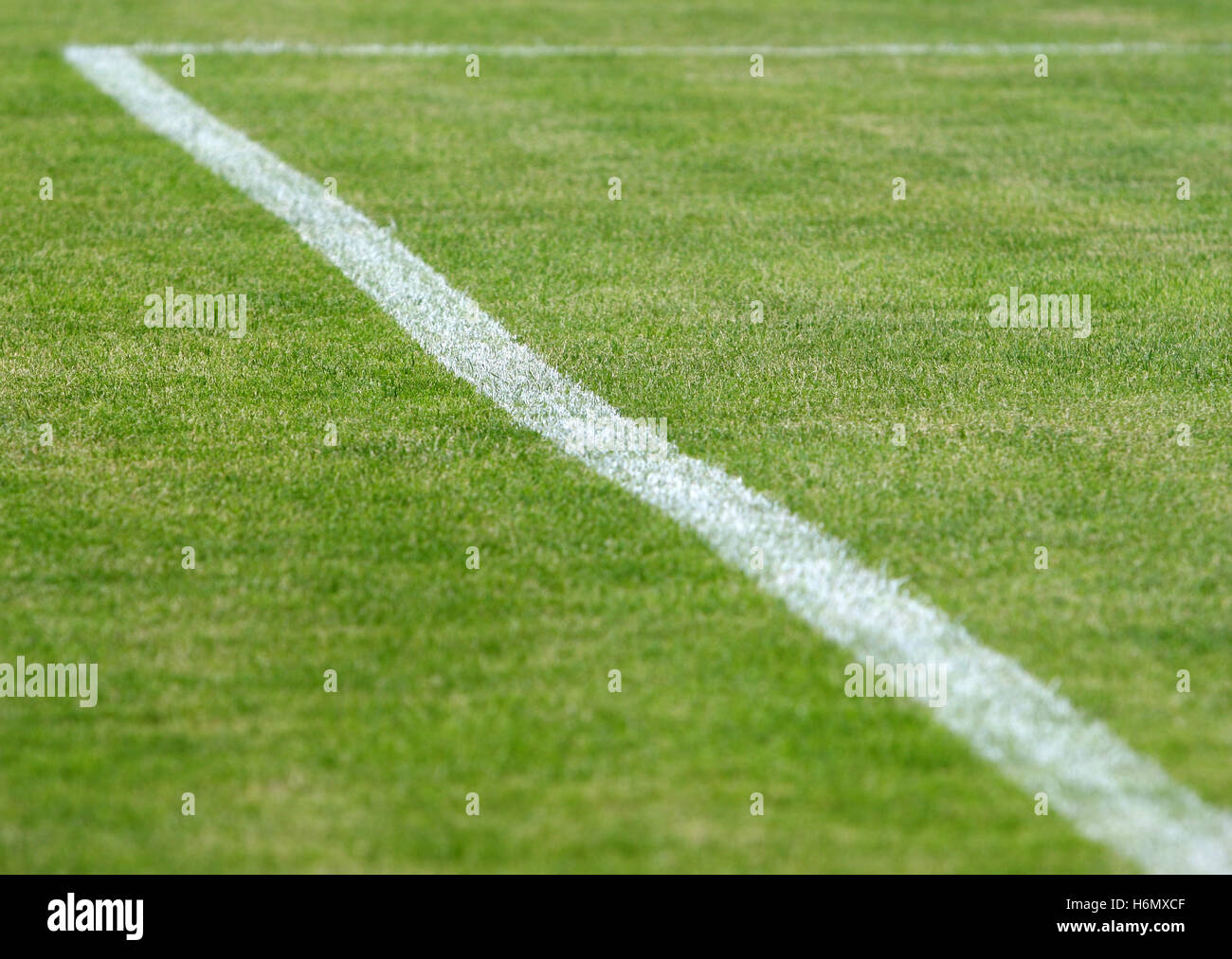 Sports game white line on grass Stock Photo - Alamy
