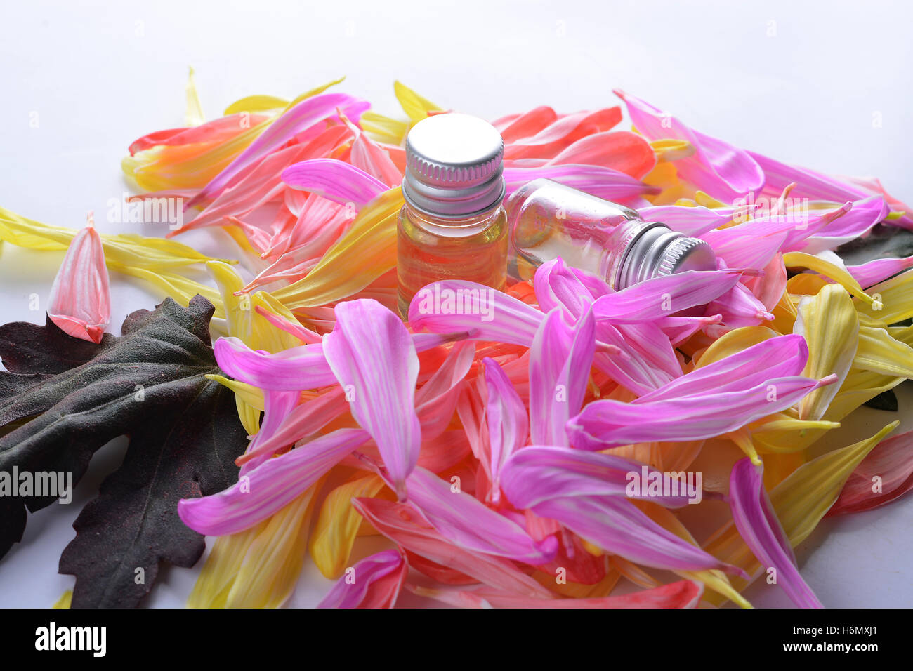 Chrysanthemum extract hi-res stock photography and images - Alamy