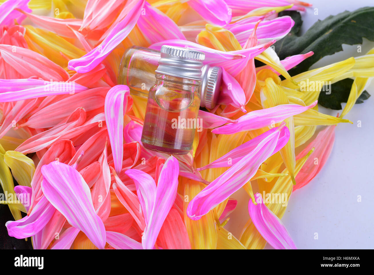 Chrysanthemum extract hi-res stock photography and images - Alamy