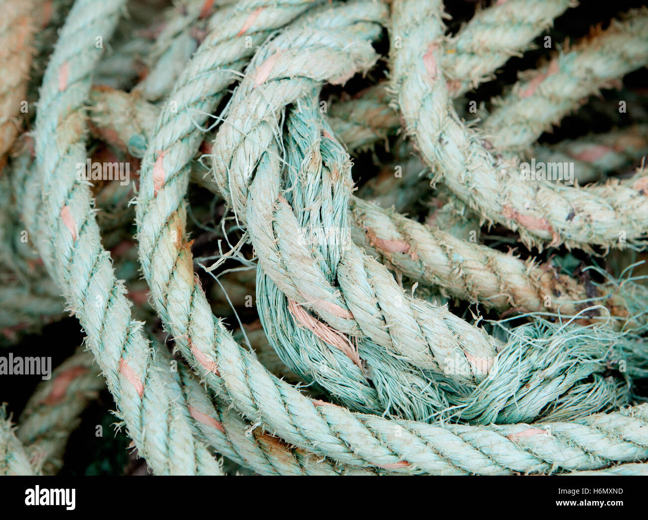 Old tangled rope hi-res stock photography and images - Alamy