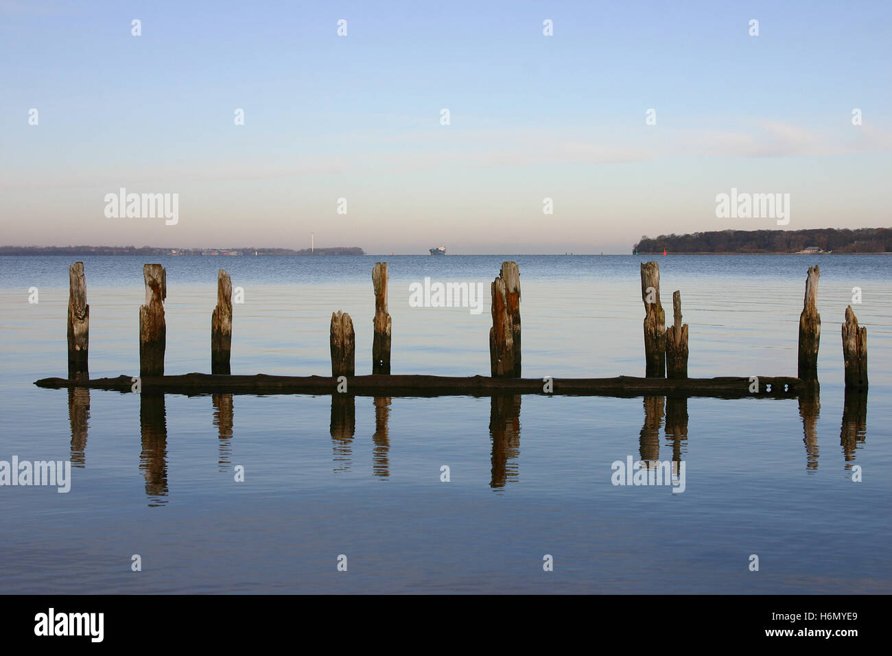 Underwater wood hi-res stock photography and images - Alamy