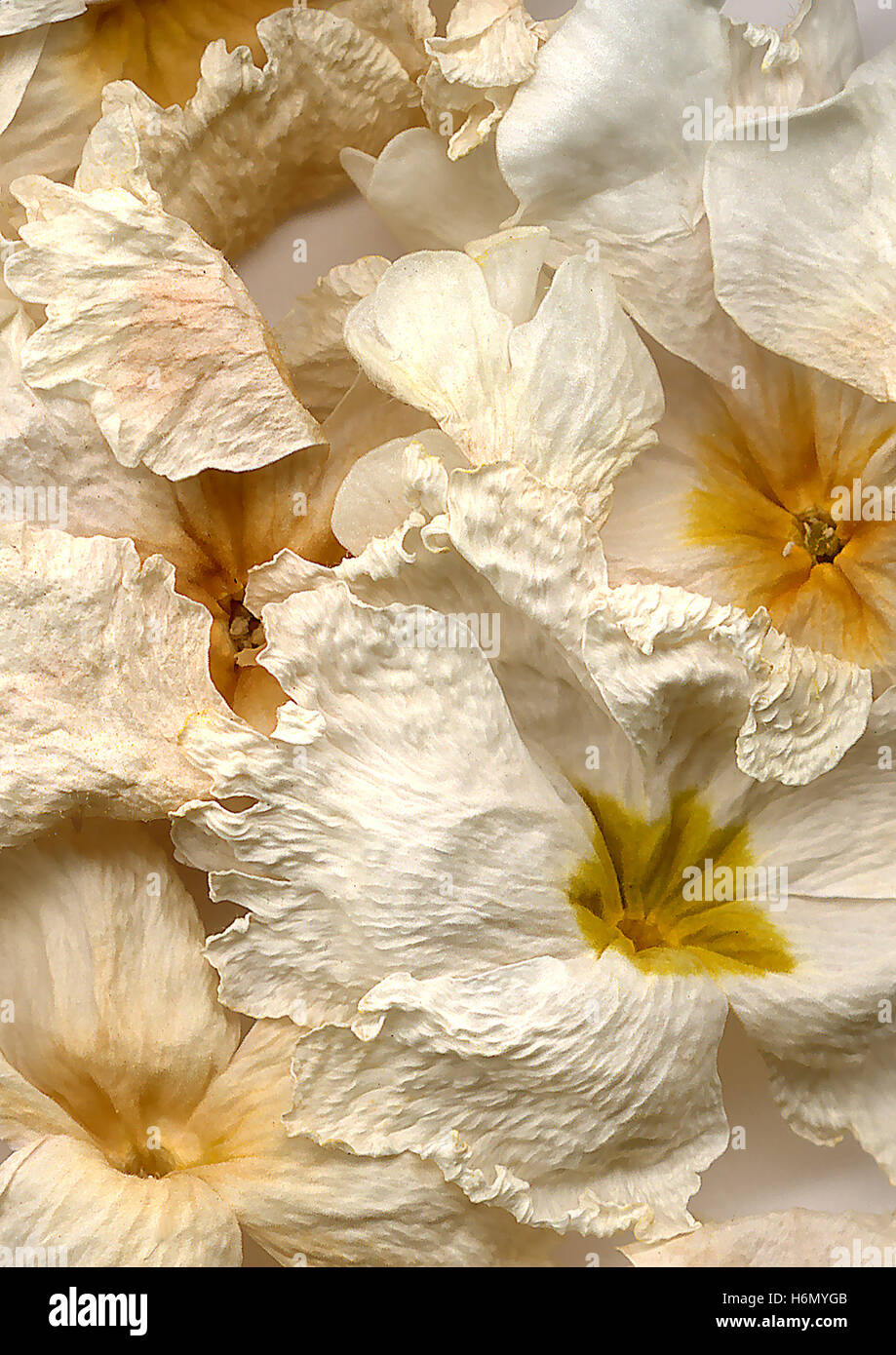 Lappig hi-res stock photography and images - Alamy