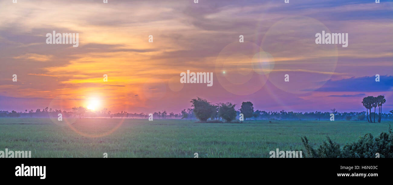 sunny dawn in a field Stock Photo - Alamy