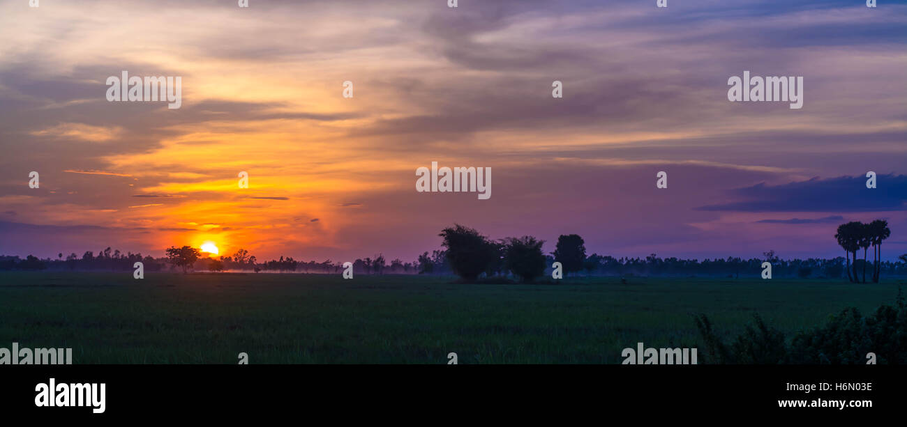 sunny dawn in a field Stock Photo - Alamy