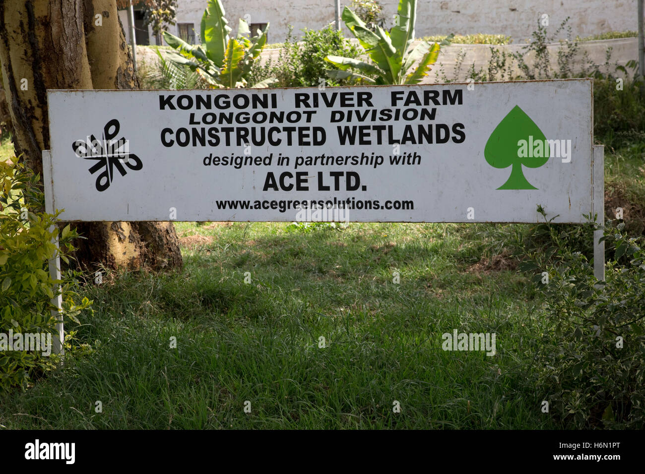 Signboard at entrance to constructed wetland Longonot Horticulture ...