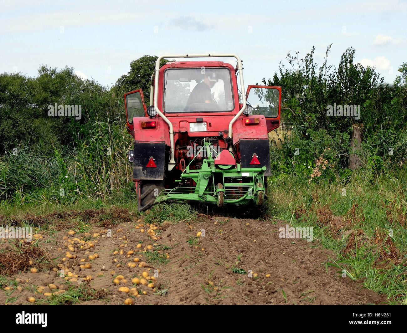 Potato field tractor hi-res stock photography and images - Alamy