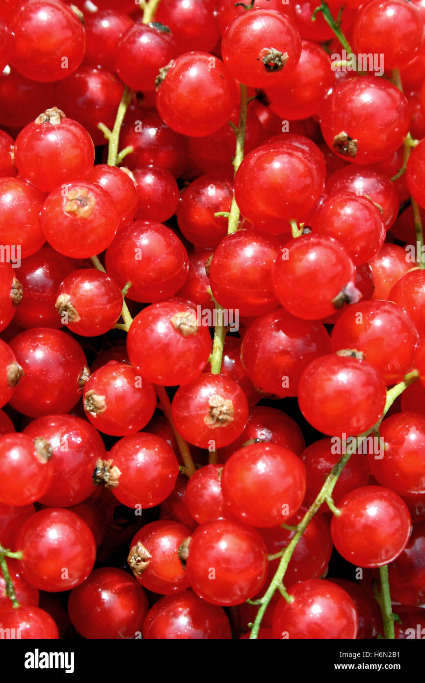 8 fruits hi-res stock photography and images - Alamy