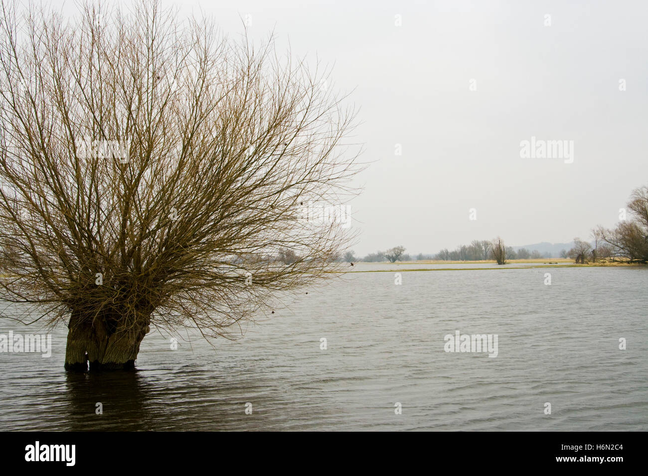 Greenhouse autumn protection hi-res stock photography and images - Alamy