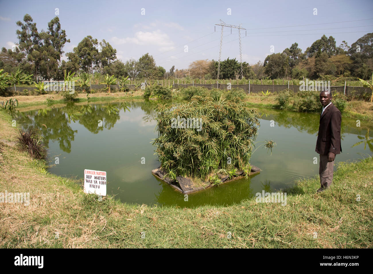 Beautiful Constructed Wetlands