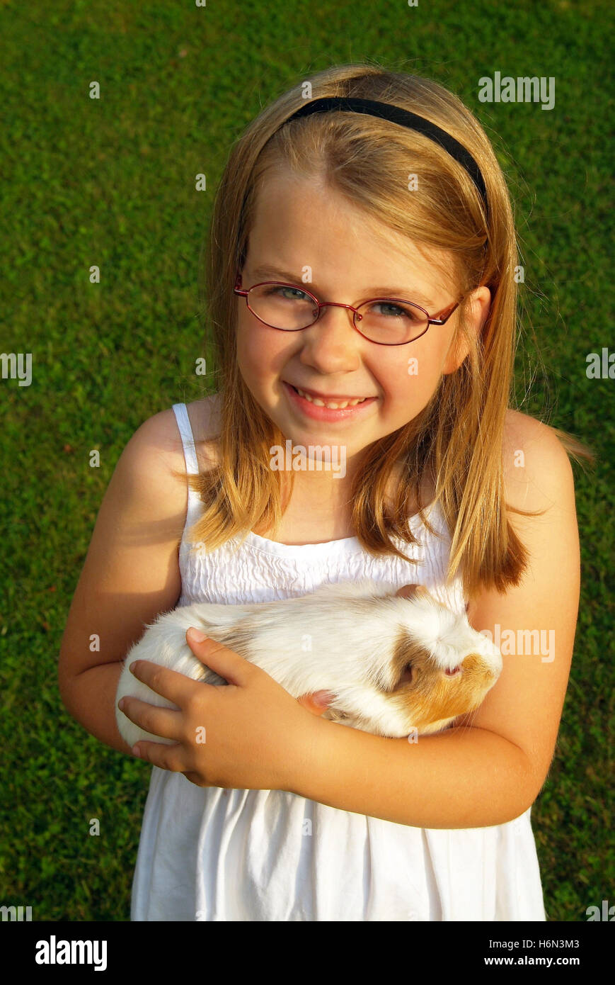 Beloved animals hi-res stock photography and images - Alamy