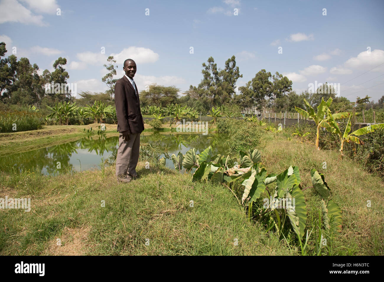 African pond hi-res stock photography and images - Alamy