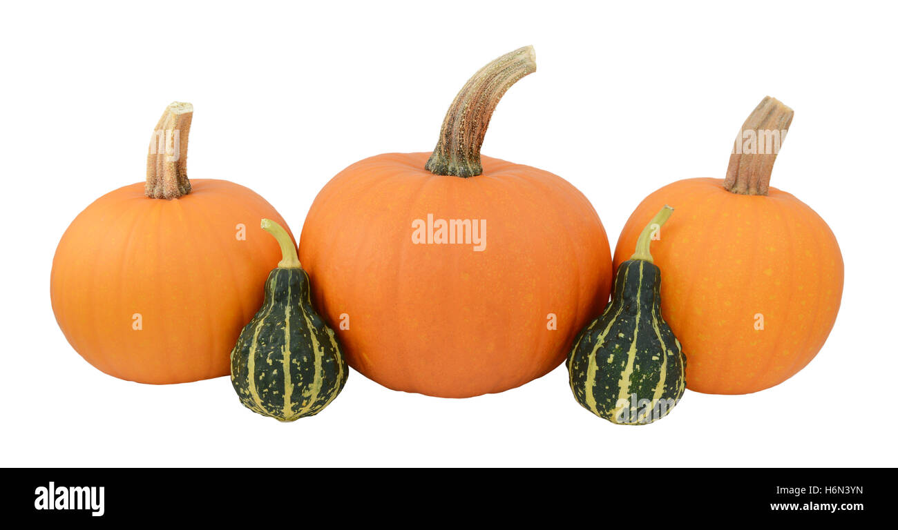 Two gourds hi-res stock photography and images - Alamy