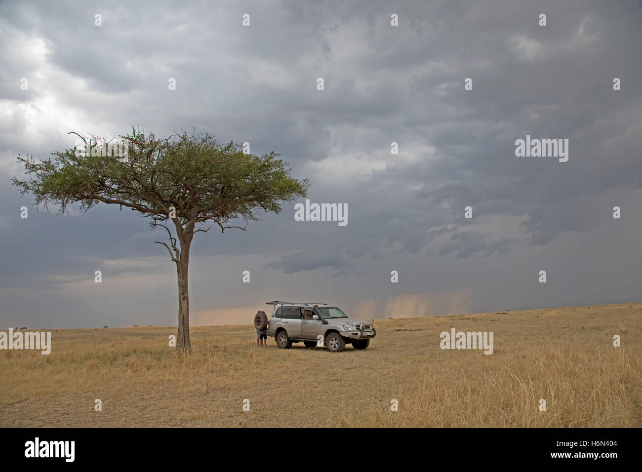 Car parked under tree hi-res stock photography and images - Alamy
