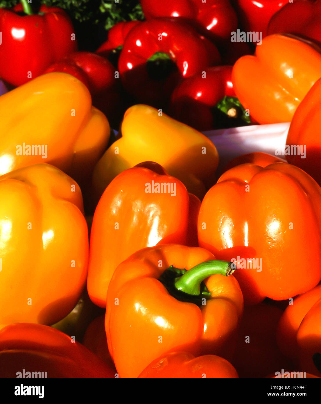 Gardeners meals hi-res stock photography and images - Alamy