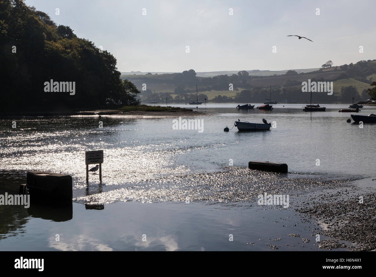 stoke gabriel,devon,silted creek of river Dart at Stoke Gabriel,britain ...